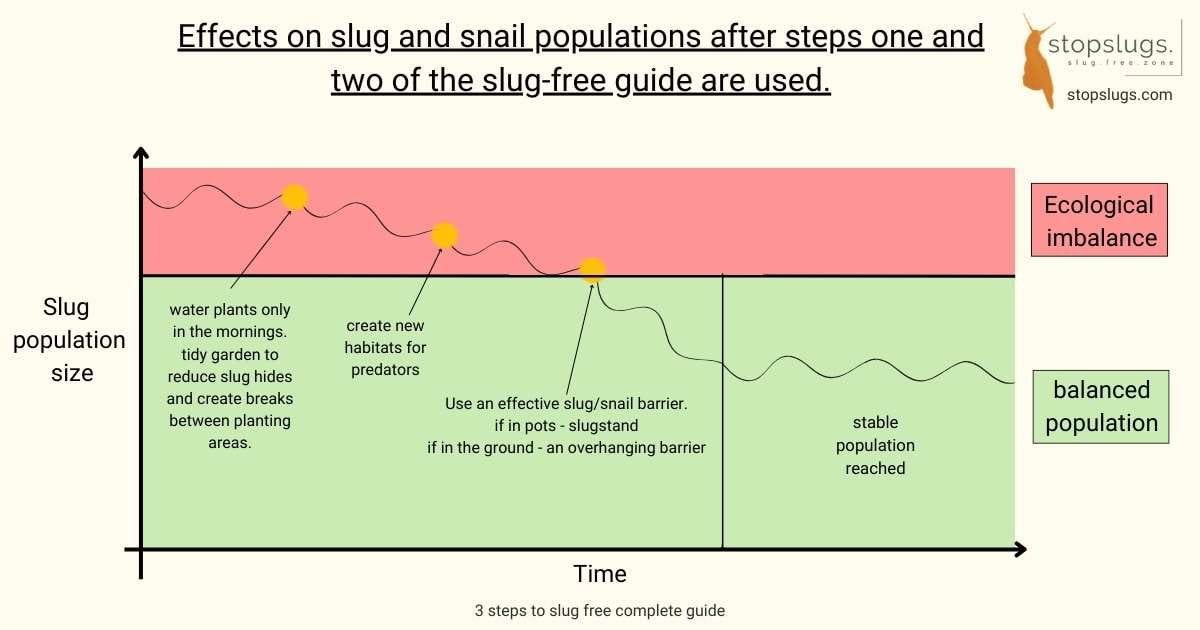 How to get rid of slugs from your garden in 3 steps. Complete guide ...