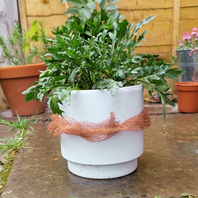 How to use copper mesh in the garden to stop slugs and snails - stop slugs